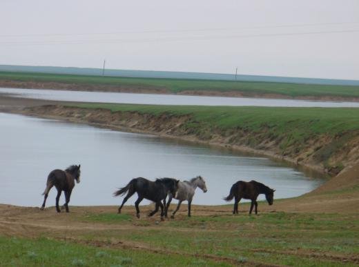 Lake Manych-Gudilo – russiangeography.com