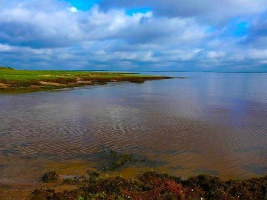 Lake Ilmen – russiangeography.com